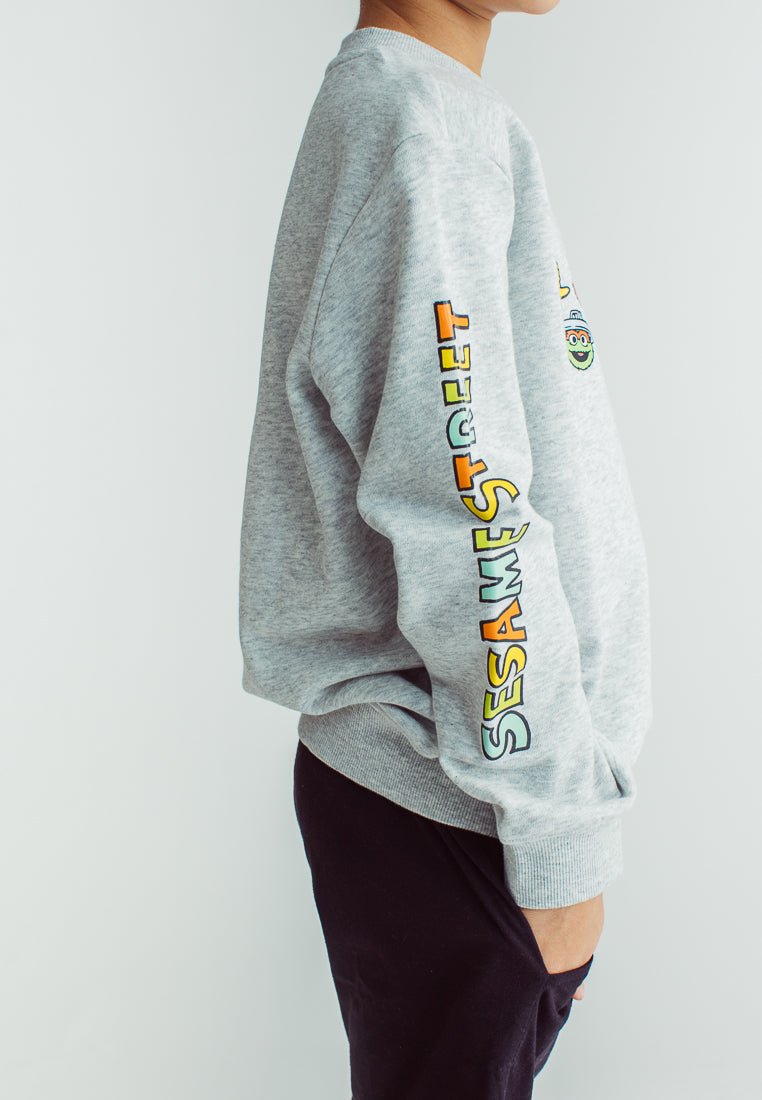 Mossimo Kids Heather Gray Pullover with Sesame Street Sleeves – Mossimo PH